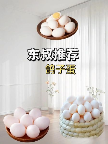 鸽子蛋市场价多少钱一个_鸽子蛋为什么贵-第3张图片-山城妙识