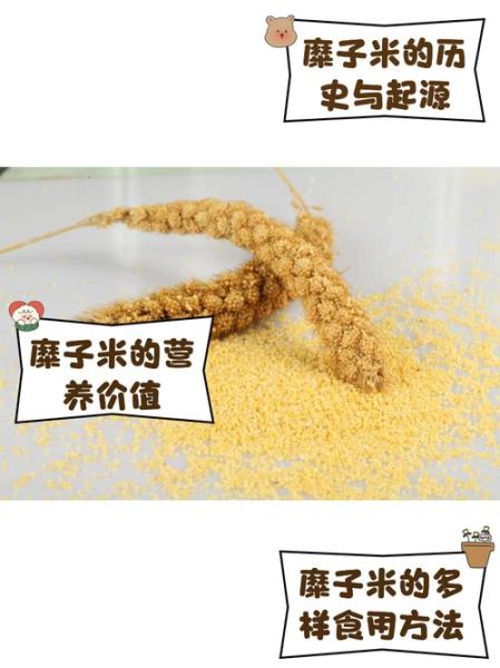 糜子米是什么米_糜子米和小米的区别-第1张图片-山城妙识 糜子米是什么米_糜子米和小米的区别-第1张图片-山城妙识
