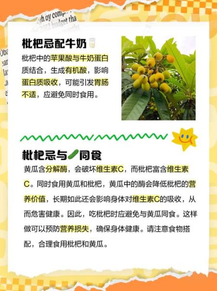 吃枇杷的禁忌有哪些_枇杷不能和什么一起吃-第2张图片-山城妙识 吃枇杷的禁忌有哪些_枇杷不能和什么一起吃-第2张图片-山城妙识