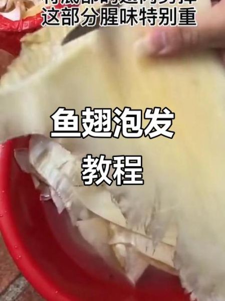鱼翅怎么泡发成丝_鱼翅泡发成丝视频教程-第1张图片-山城妙识