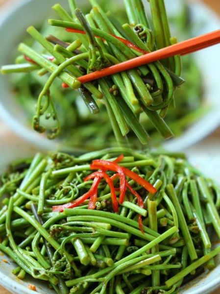 蕨菜怎么做好吃_蕨菜有毒吗-第1张图片-山城妙识 蕨菜怎么做好吃_蕨菜有毒吗-第1张图片-山城妙识