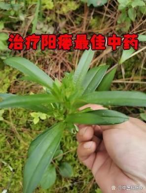 阳瘘的最佳治疗方法_阳瘘怎么治最好-第2张图片-山城妙识