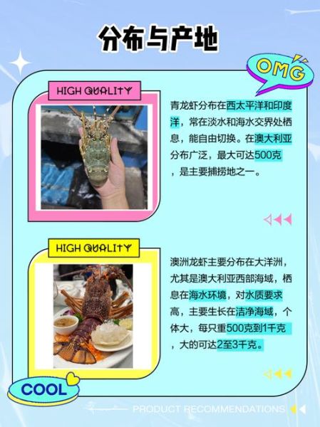 大龙虾种类图片大全大图_如何分辨真假澳洲龙虾-第1张图片-山城妙识 大龙虾种类图片大全大图_如何分辨真假澳洲龙虾-第1张图片-山城妙识