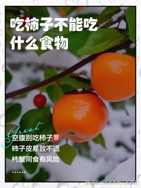 吃柿子忌讳什么食物_吃柿子不能和什么一起吃-第2张图片-山城妙识 吃柿子忌讳什么食物_吃柿子不能和什么一起吃-第2张图片-山城妙识