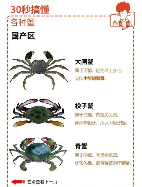 青蟹和梭子蟹哪个贵_青蟹和梭子蟹价格差多少-第2张图片-山城妙识