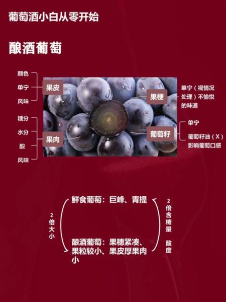 葡萄酒可以加冰糖吗_冰糖在酿制中的作用-第3张图片-山城妙识