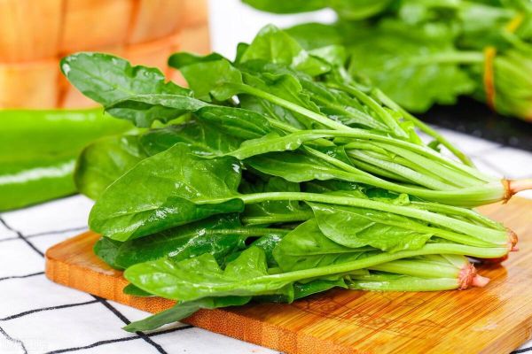 菠菜图片高清_如何挑选新鲜菠菜-第1张图片-山城妙识 菠菜图片高清_如何挑选新鲜菠菜-第1张图片-山城妙识