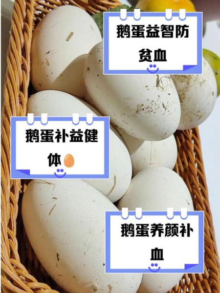 土鹅蛋的功效与作用_孕妇能吃吗-第1张图片-山城妙识