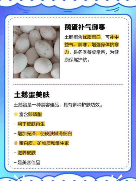 土鹅蛋的功效与作用_孕妇能吃吗-第2张图片-山城妙识