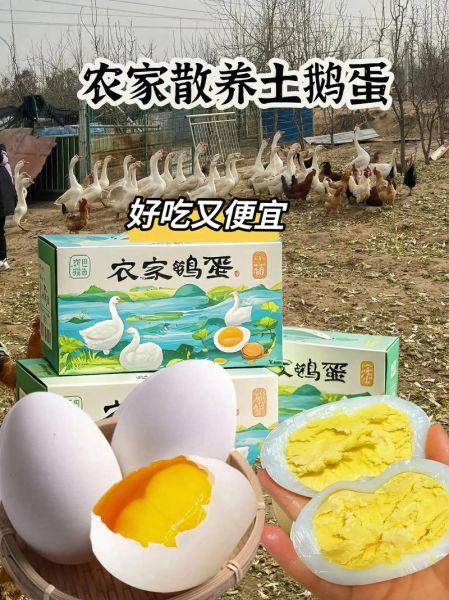 土鹅蛋的功效与作用_孕妇能吃吗-第3张图片-山城妙识