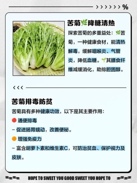 苦菊的功效与作用有哪些_苦菊的营养价值高吗-第1张图片-山城妙识 苦菊的功效与作用有哪些_苦菊的营养价值高吗-第1张图片-山城妙识