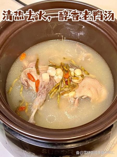 老鸭汤怎么炖才正宗_老鸭汤放什么配料最香-第2张图片-山城妙识