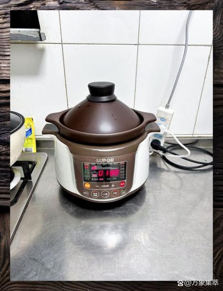 电炖锅做什么菜好吃_电炖锅食谱推荐-第1张图片-山城妙识