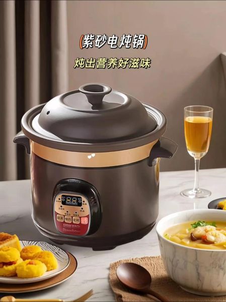 电炖锅做什么菜好吃_电炖锅食谱推荐-第3张图片-山城妙识