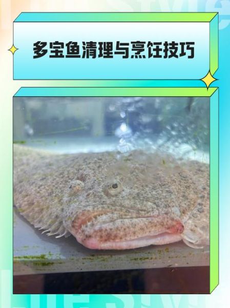 多宝鱼怎么杀_多宝鱼清理内脏图解-第2张图片-山城妙识