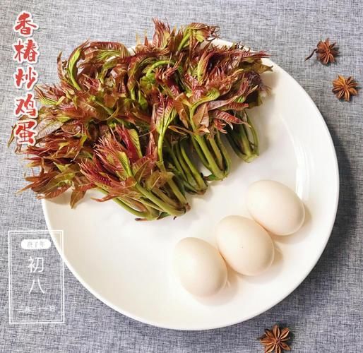 香椿做菜图片大全_香椿怎么做好吃-第1张图片-山城妙识