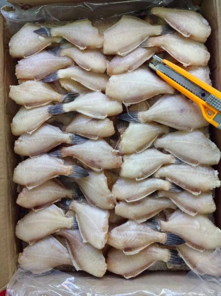 剥皮鱼为什么大的便宜小的贵_剥皮鱼价格差异原因-第1张图片-山城妙识 剥皮鱼为什么大的便宜小的贵_剥皮鱼价格差异原因-第1张图片-山城妙识