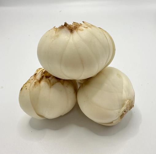 新鲜百合怎么做好吃_新鲜百合的家常做法-第1张图片-山城妙识 新鲜百合怎么做好吃_新鲜百合的家常做法-第1张图片-山城妙识