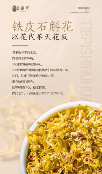 铁皮石斛花怎么吃_铁皮石斛花功效与禁忌-第2张图片-山城妙识