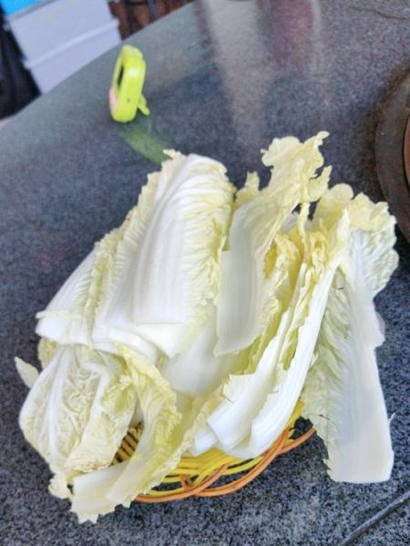 胖头鱼多少钱一斤_胖头鱼价格为什么波动大-第3张图片-山城妙识