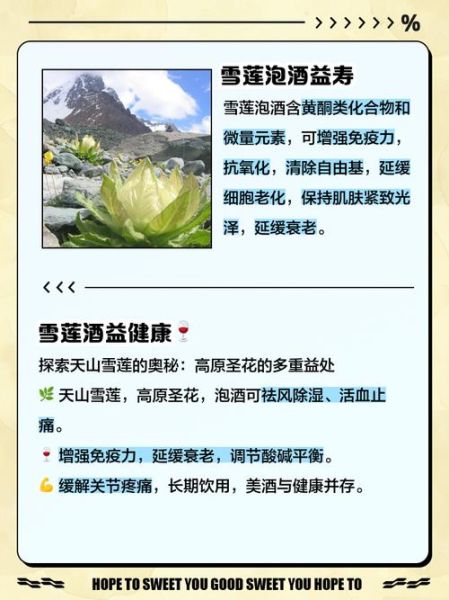 野生雪莲花怎么喝_野生雪莲花泡水正确步骤-第2张图片-山城妙识