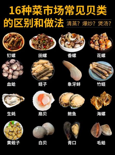 贝类海鲜有哪些种类_贝类海鲜图片大全-第2张图片-山城妙识