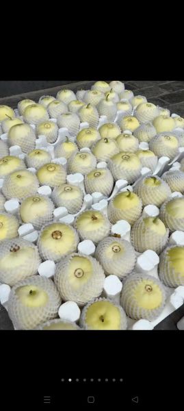 脆瓜怎么挑选_脆瓜图片高清大图-第3张图片-山城妙识 脆瓜怎么挑选_脆瓜图片高清大图-第3张图片-山城妙识