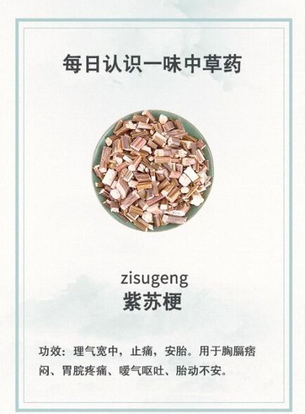 紫苏梗的功效与作用_紫苏梗怎么吃效果好-第3张图片-山城妙识 紫苏梗的功效与作用_紫苏梗怎么吃效果好-第3张图片-山城妙识