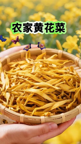 干黄花菜多少钱一斤_干黄花菜价格为什么差距大-第3张图片-山城妙识