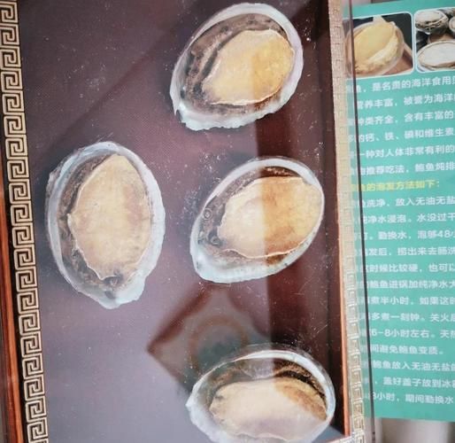 干鲍鱼怎么泡发_家常做法多久能软-第3张图片-山城妙识 干鲍鱼怎么泡发_家常做法多久能软-第3张图片-山城妙识