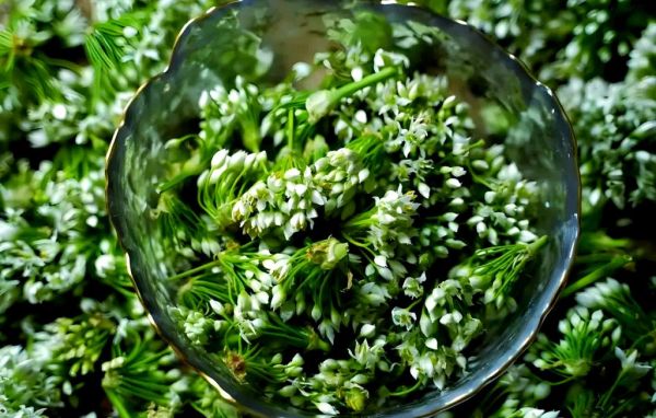 怎样腌制韭菜花好吃_韭菜花腌制方法-第2张图片-山城妙识