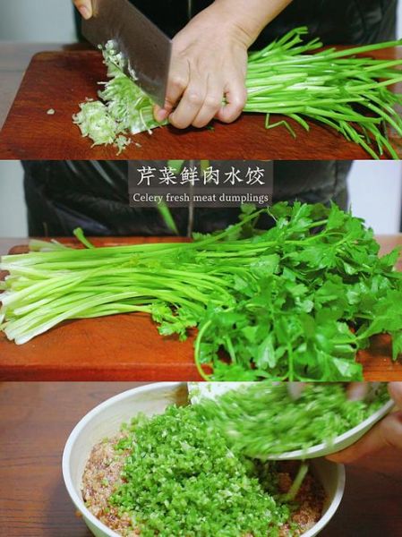 芹菜包饺子要不要挤水_芹菜饺子馅出水怎么办-第2张图片-山城妙识