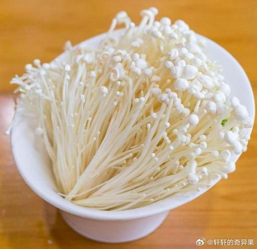 金针菇怎么种_金针菇种植方法图片-第1张图片-山城妙识 金针菇怎么种_金针菇种植方法图片-第1张图片-山城妙识