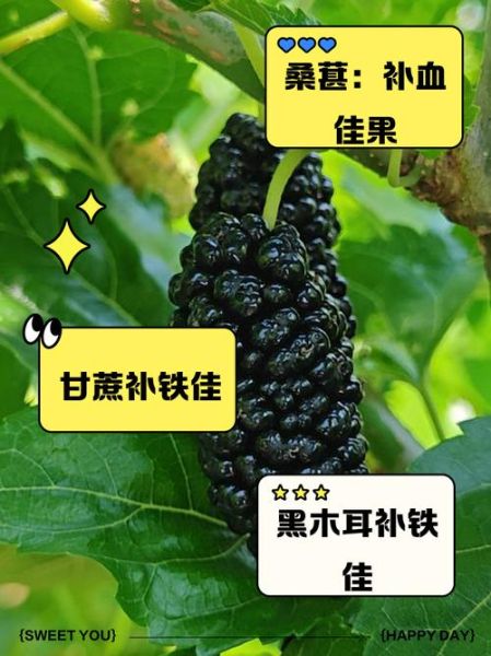 含铁高的水果蔬菜有哪些_缺铁吃什么最快补-第3张图片-山城妙识 含铁高的水果蔬菜有哪些_缺铁吃什么最快补-第3张图片-山城妙识