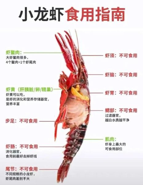 孕妇能吃小龙虾吗初期_怀孕早期吃小龙虾安全吗-第3张图片-山城妙识 孕妇能吃小龙虾吗初期_怀孕早期吃小龙虾安全吗-第3张图片-山城妙识