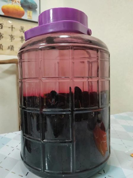 桑葚子泡酒的方法_桑葚子泡酒用什么酒好-第1张图片-山城妙识