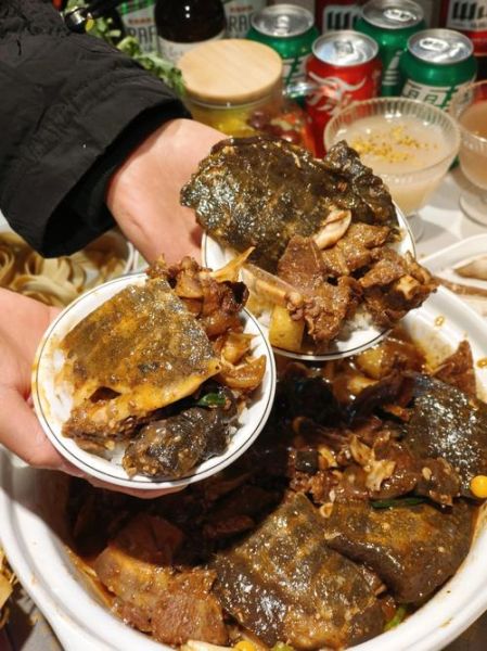 王八汤怎么炖最补_王八汤功效与禁忌-第1张图片-山城妙识 王八汤怎么炖最补_王八汤功效与禁忌-第1张图片-山城妙识