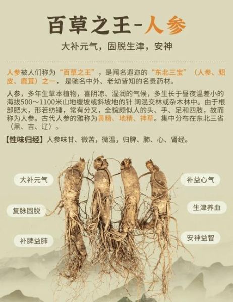 人参的功效与副作用_怎么吃才安全-第1张图片-山城妙识