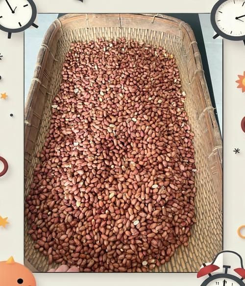 河南花生米多少钱一斤_2024年河南花生米价格走势-第1张图片-山城妙识