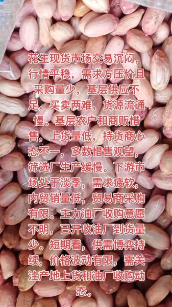 河南花生米多少钱一斤_2024年河南花生米价格走势-第2张图片-山城妙识