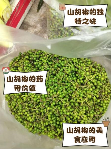 山胡椒图片_如何辨别真假山胡椒-第2张图片-山城妙识