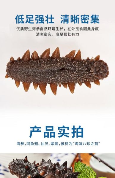 海参十大品牌排行榜_哪个牌子好-第1张图片-山城妙识 海参十大品牌排行榜_哪个牌子好-第1张图片-山城妙识