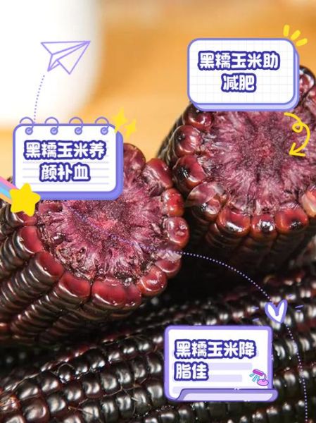 吃玉米有什么好处_玉米的营养价值-第2张图片-山城妙识 吃玉米有什么好处_玉米的营养价值-第2张图片-山城妙识