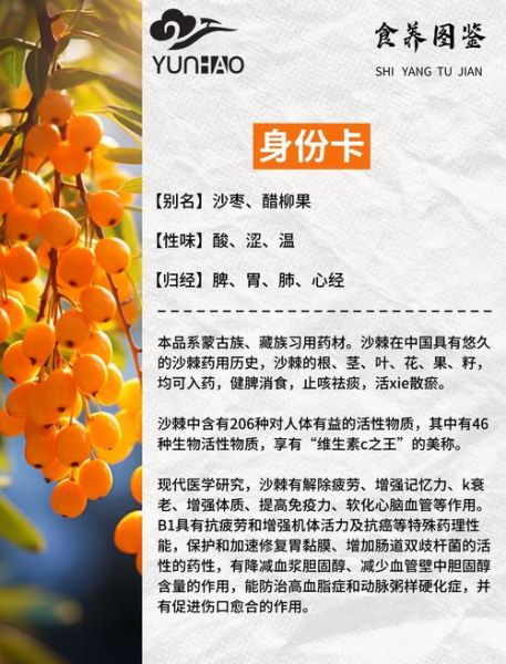 沙棘果干怎么吃最好_沙棘果干一天吃多少合适-第1张图片-山城妙识