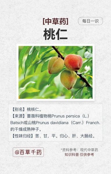 桃仁可以吃吗_桃仁的正确吃法与禁忌-第3张图片-山城妙识