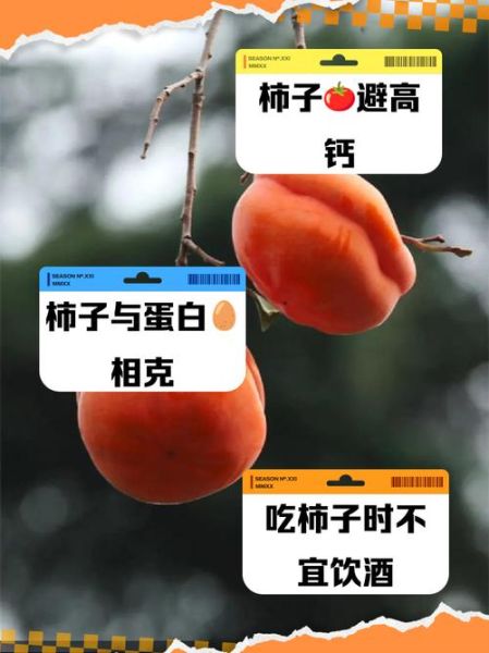 柿子不能和什么同吃_柿子与哪些食物相克-第3张图片-山城妙识 柿子不能和什么同吃_柿子与哪些食物相克-第3张图片-山城妙识