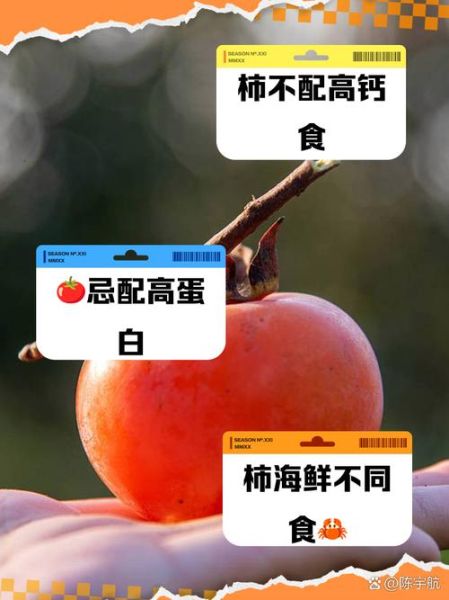 柿子不能和什么同吃_柿子与哪些食物相克-第2张图片-山城妙识 柿子不能和什么同吃_柿子与哪些食物相克-第2张图片-山城妙识