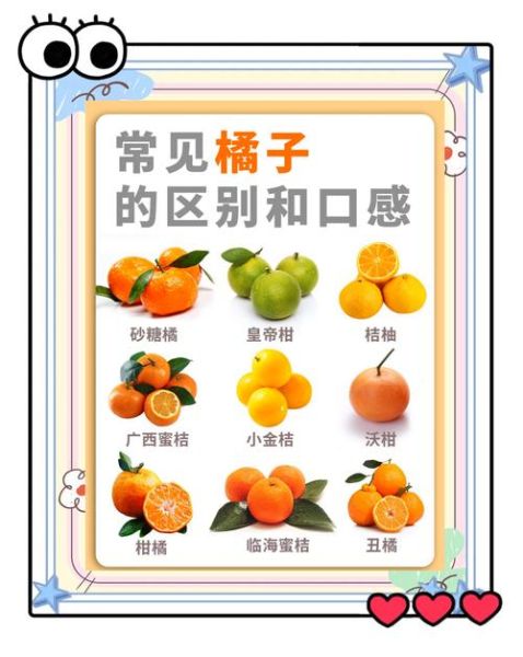 柑橘品种有哪些_常见柑橘品种大全-第2张图片-山城妙识 柑橘品种有哪些_常见柑橘品种大全-第2张图片-山城妙识