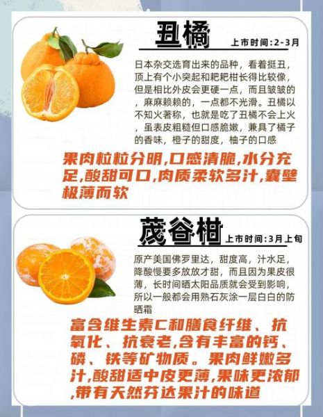 柑橘品种有哪些_常见柑橘品种大全-第3张图片-山城妙识 柑橘品种有哪些_常见柑橘品种大全-第3张图片-山城妙识