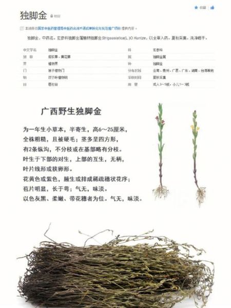 独脚金长什么样_独脚金图片怎么辨别真假-第3张图片-山城妙识